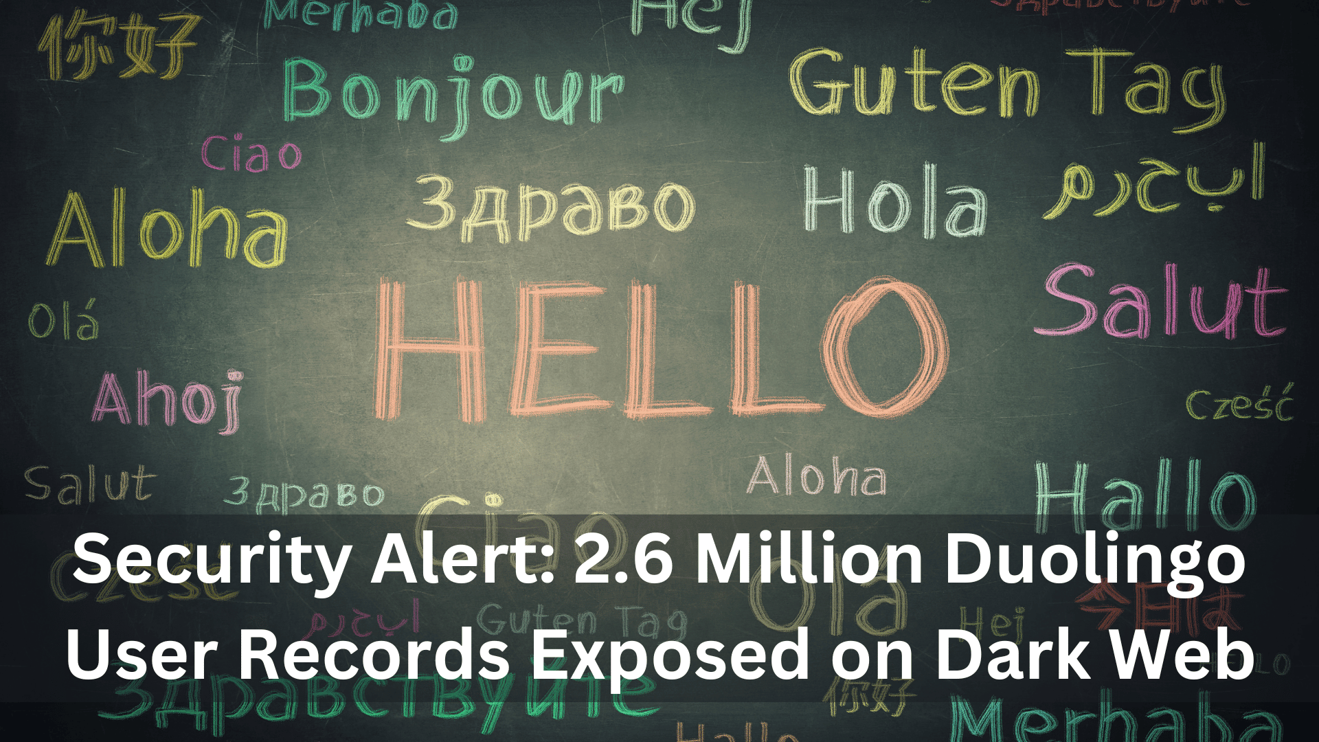 Security Alert: 2.6 Million Duolingo User Records Exposed on Dark Web ...